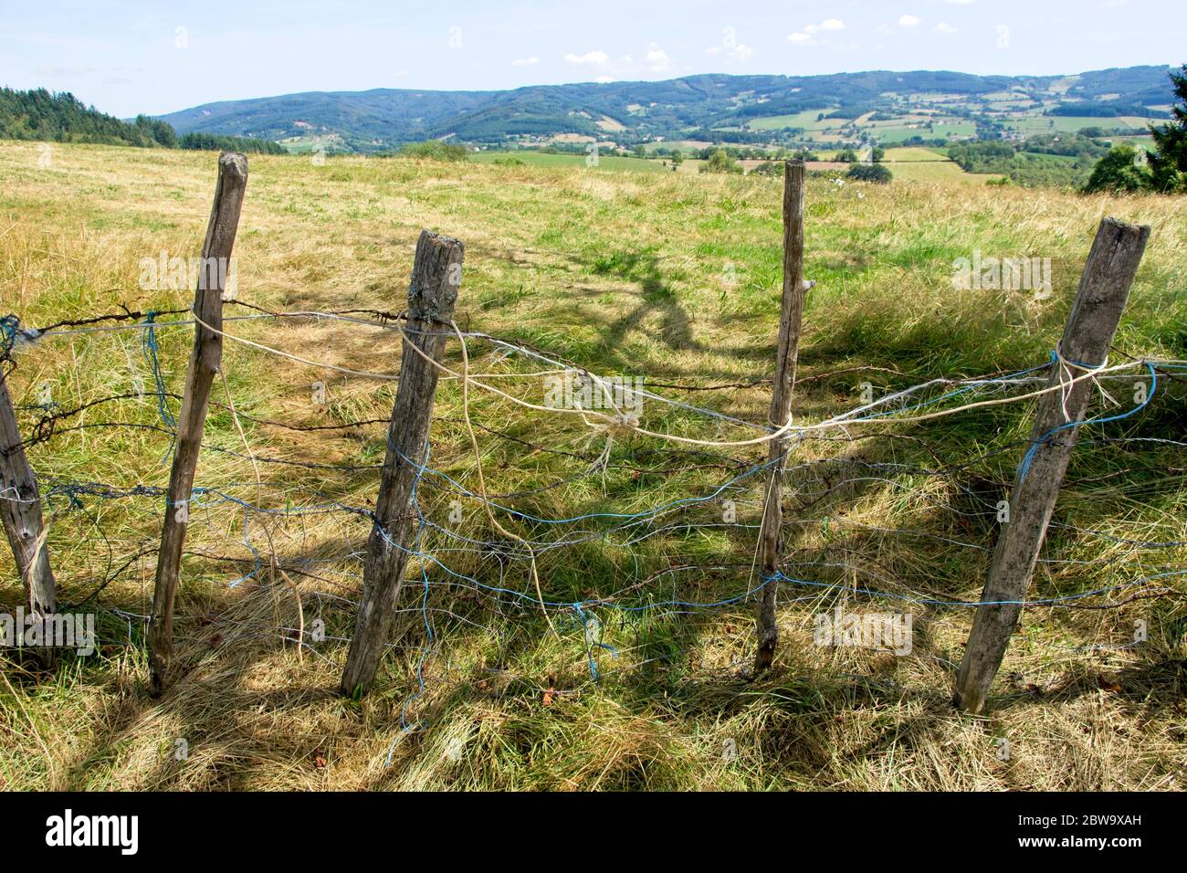 Fence around field in Bourgogne France Stock Photo - Alamy