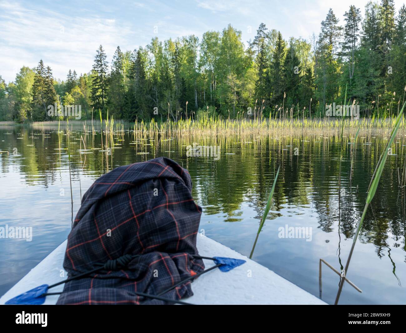 beautiful spring morning landscape with sup boards, bright green trees ...