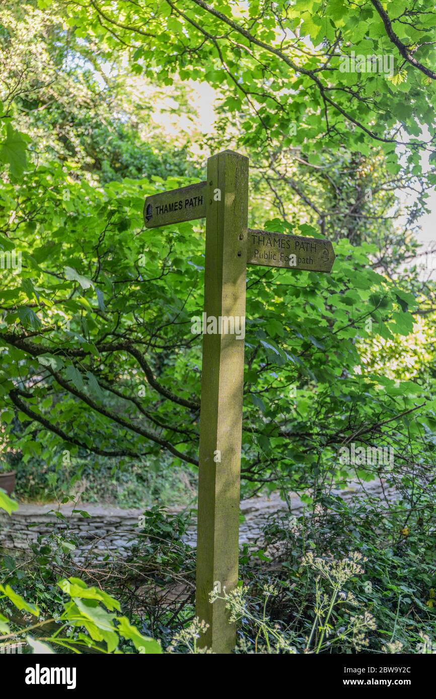 A Selection Of Pictures From Walking The Thames Walk In The Cotswolds ...