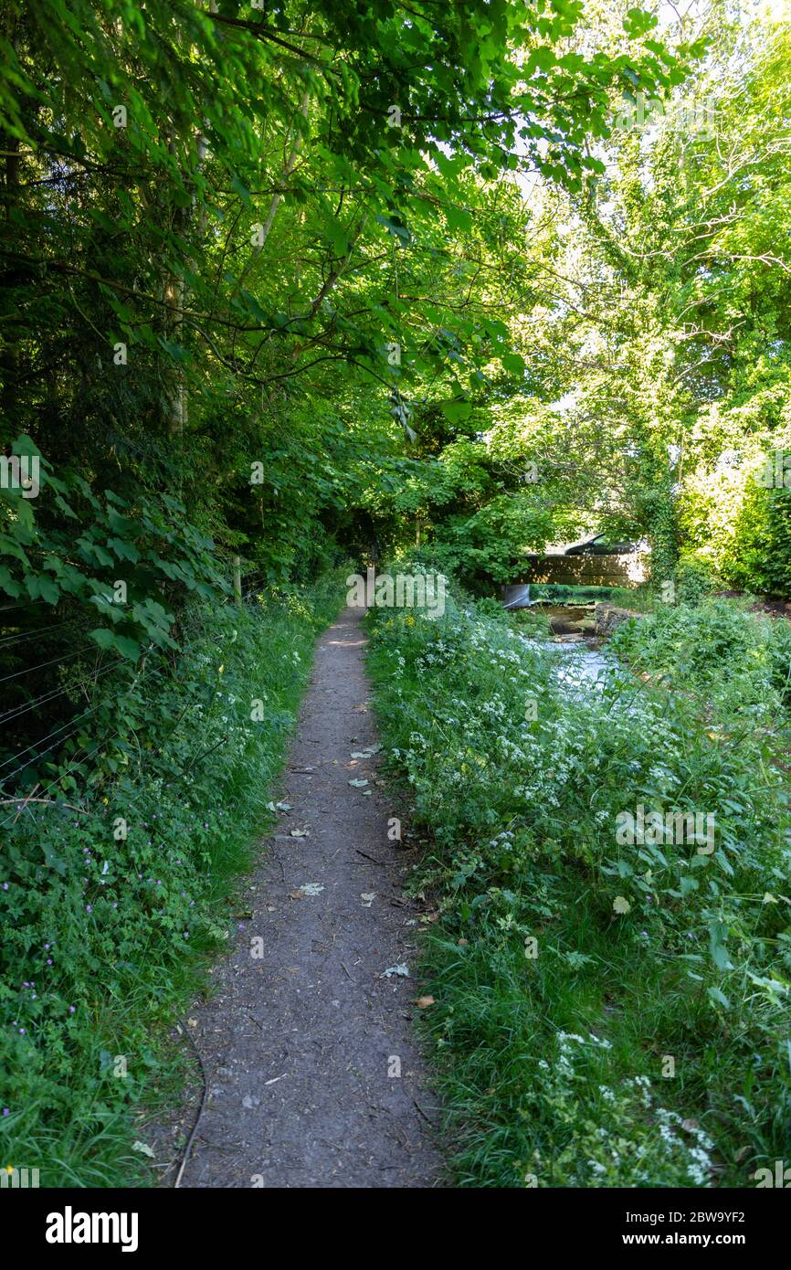 A Selection Of Pictures From Walking The Thames Walk In The Cotswolds ...