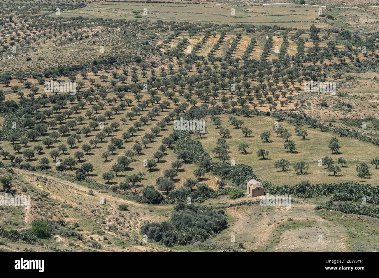 Welcome to tunisia : takrouna Stock Photo - Alamy