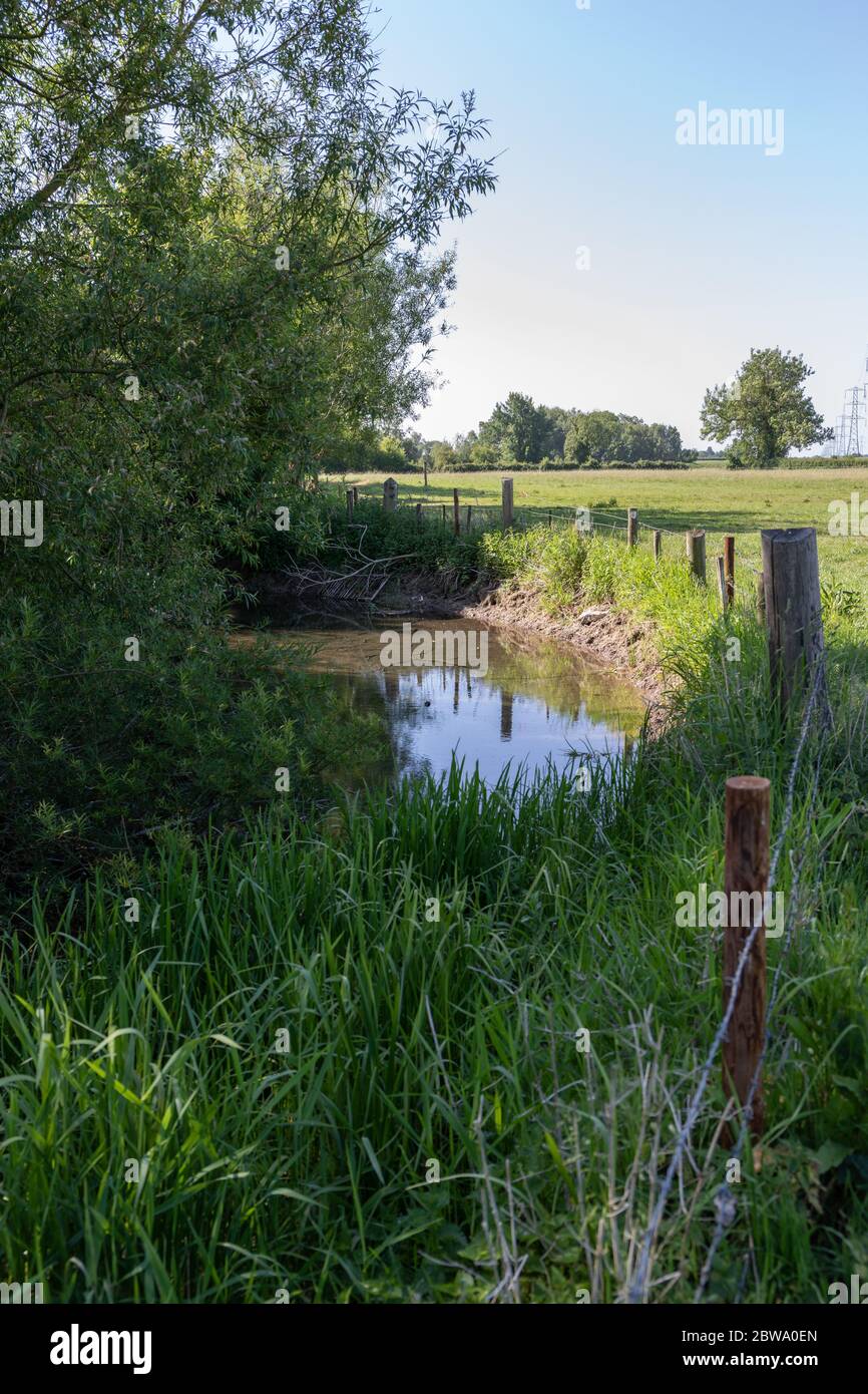 A Selection Of Pictures From Walking The Thames Walk In The Cotswolds ...