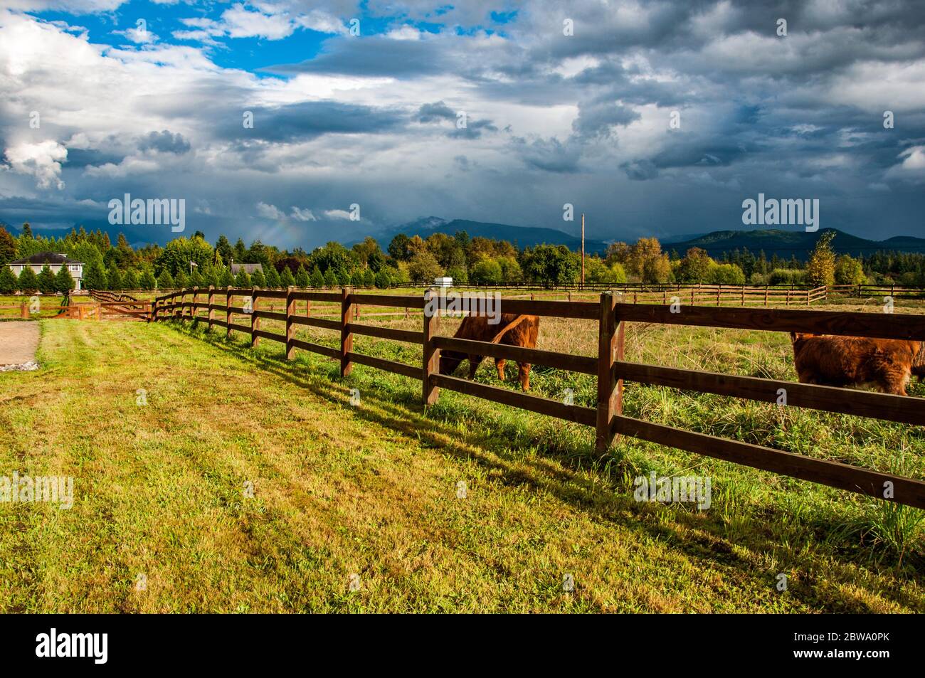 Sunny morning on the farm Stock Photo - Alamy