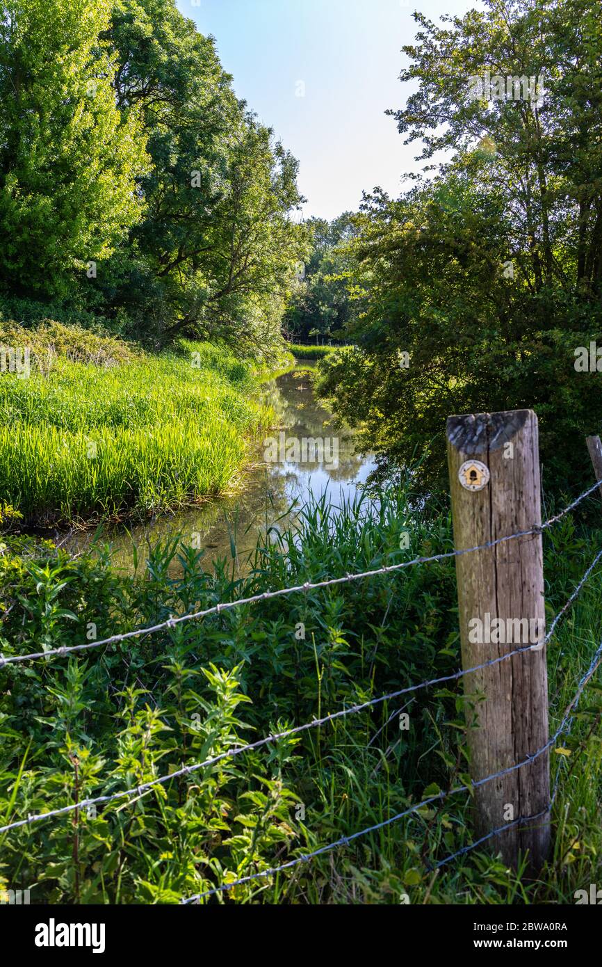 A Selection Of Pictures From Walking The Thames Walk In The Cotswolds ...