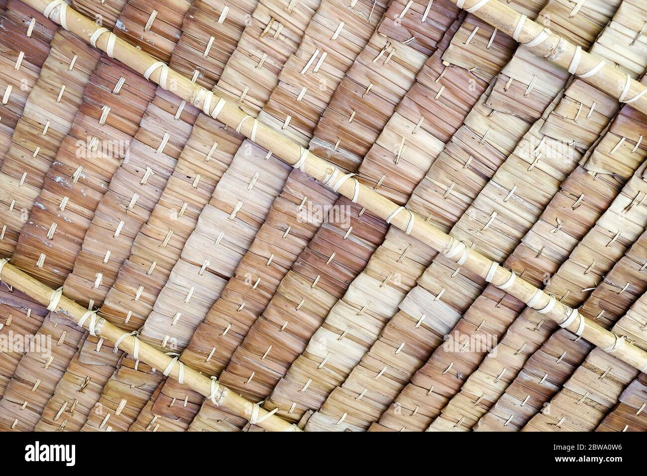 Detail of Thatch straw roof background Stock Photo - Alamy