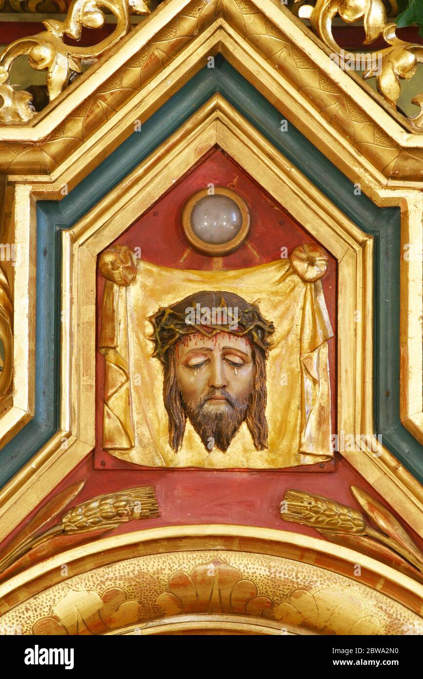 Veronicas veil hi-res stock photography and images - Alamy