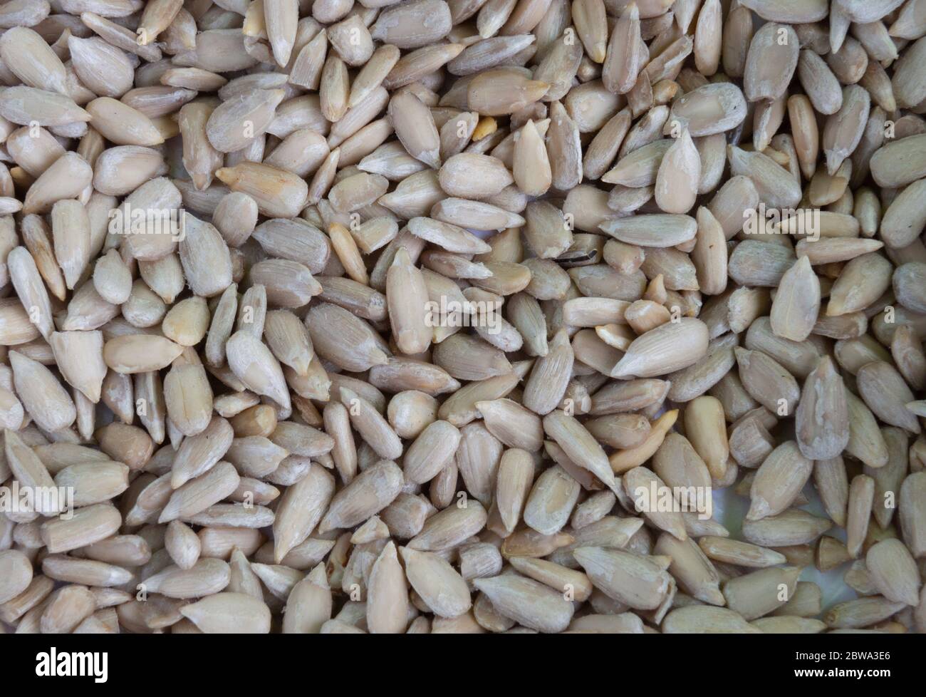 The peeled seeds without a husk, on all background. View from above ...