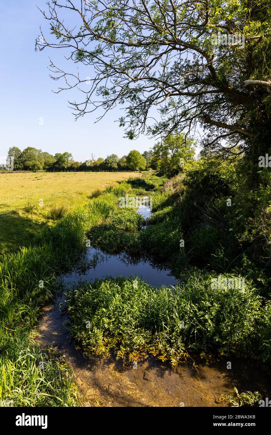 A Selection Of Pictures From Walking The Thames Walk In The Cotswolds ...