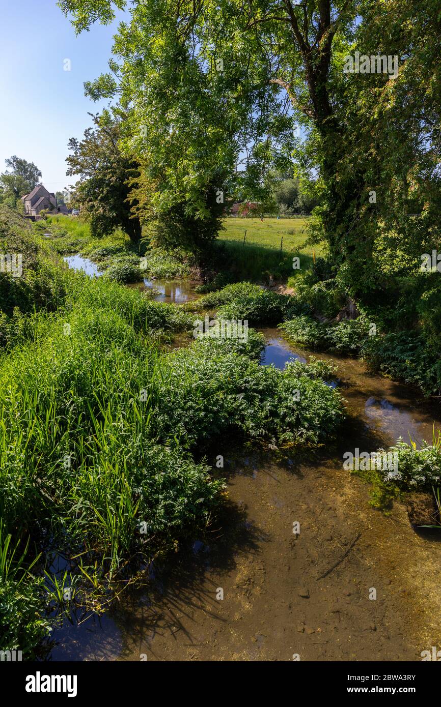 A Selection Of Pictures From Walking The Thames Walk In The Cotswolds ...