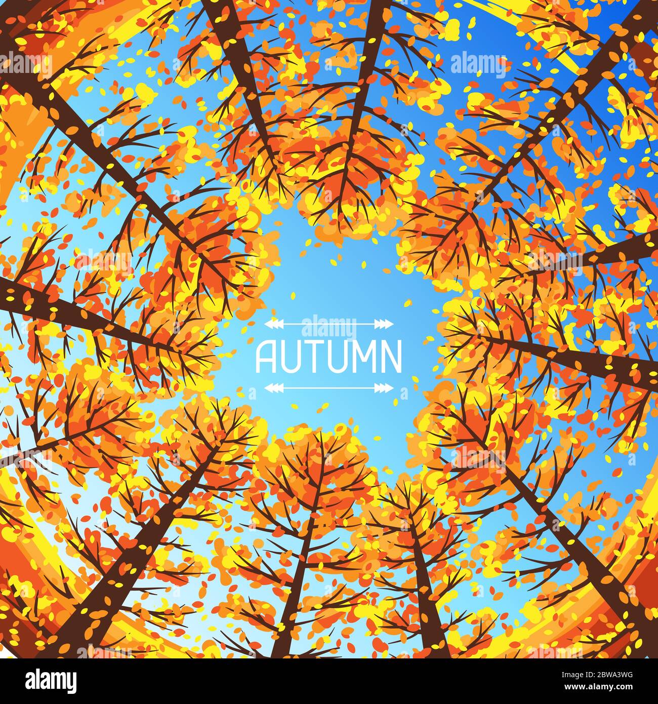 Autumn forest background with stylized trees Stock Vector Image & Art ...