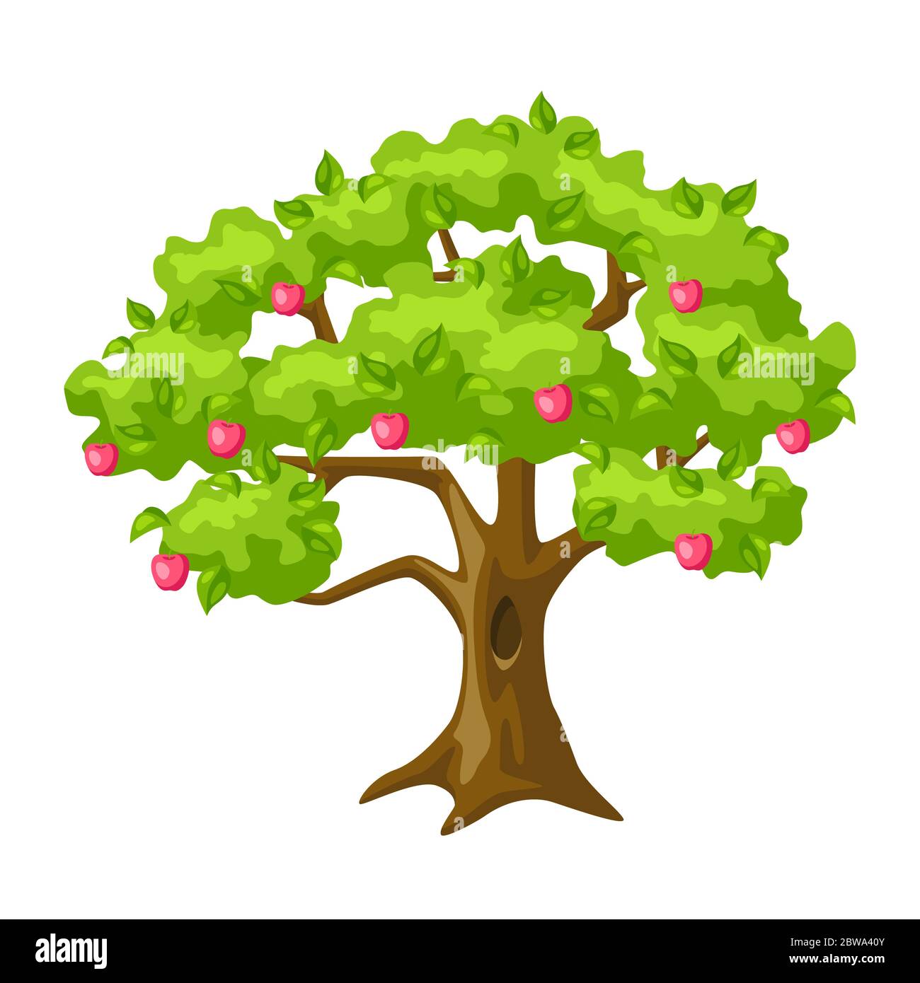 Summer tree with apples and leaves. Seasonal illustration Stock Vector ...