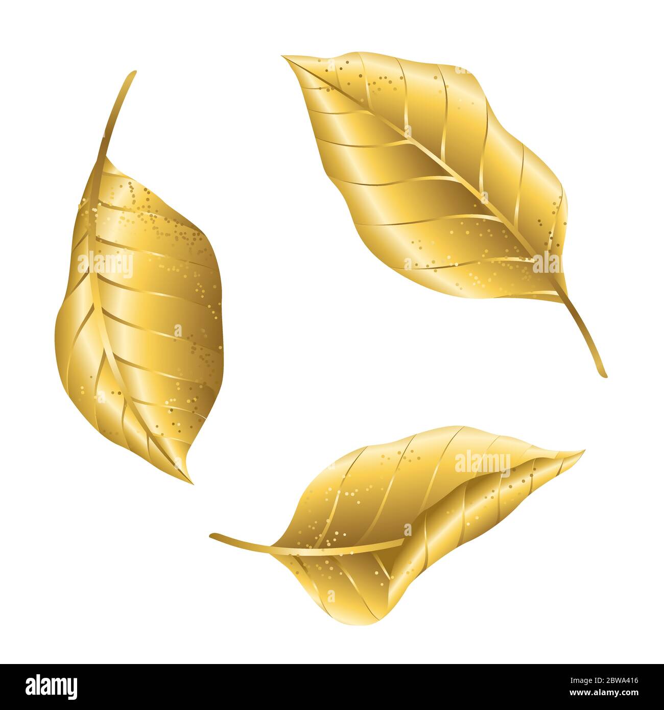 Set of gold autumn foliage Stock Vector Image & Art - Alamy