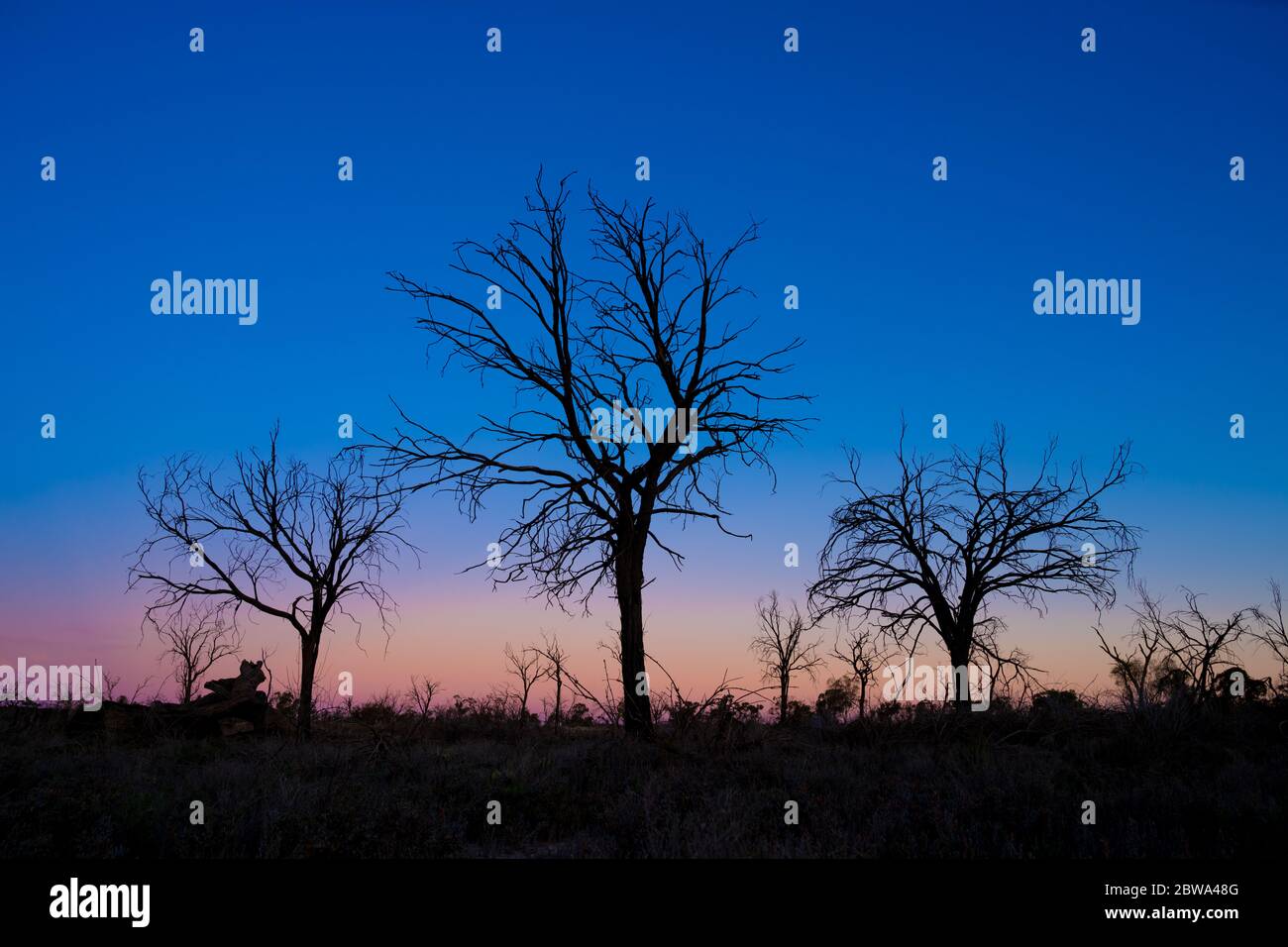 Murray darling basin hi-res stock photography and images - Alamy