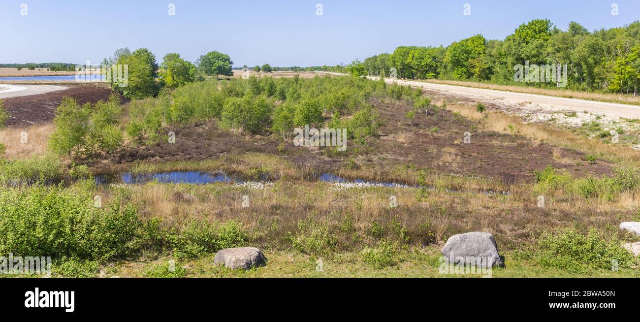 Bargerveen nature reserve hi-res stock photography and images - Alamy