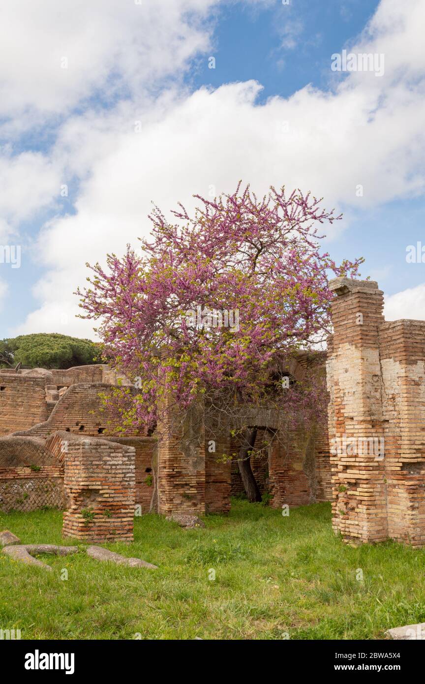 Ruins of Ostia Antica, large ancient Roman archaeological site close to ...