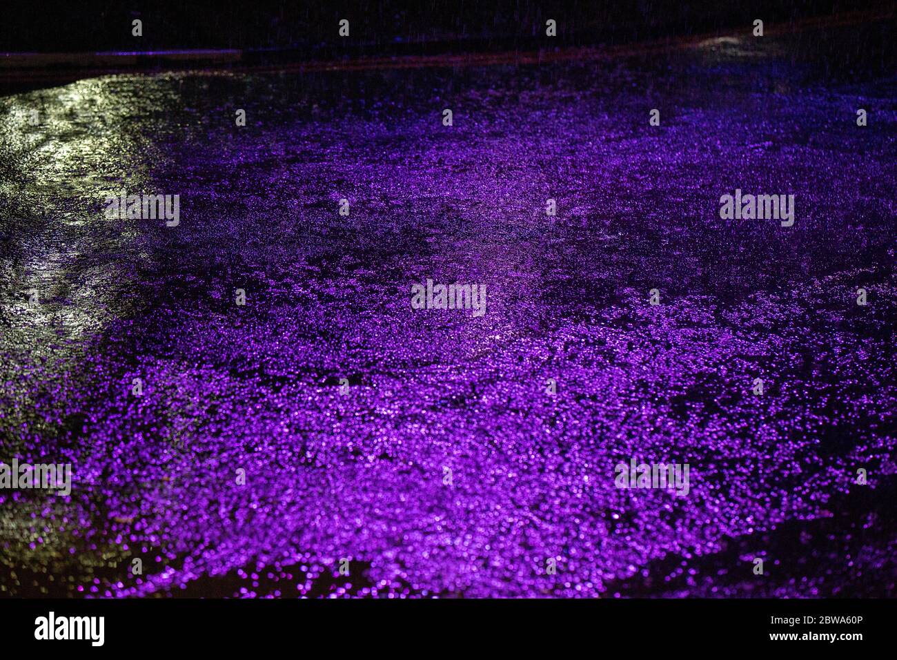 Rain reflection purple and blue neon lights in a rainstorm Stock Photo ...