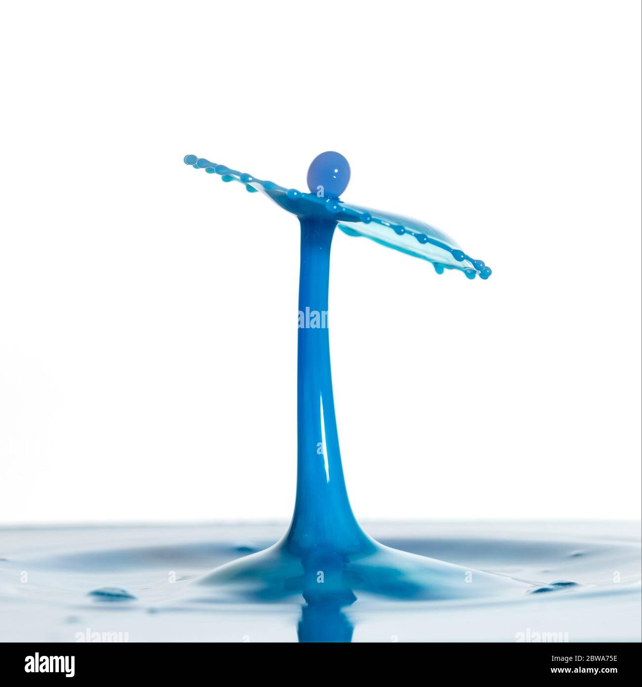Stunning unique abstract water splash photography images with vibrant ...