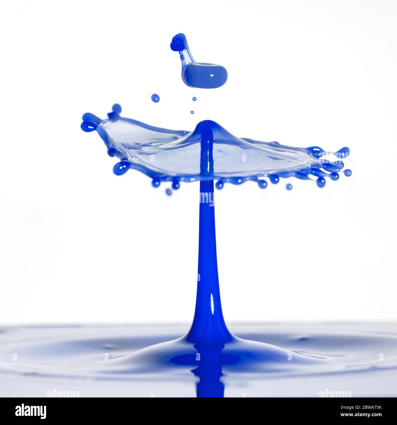 Stunning unique abstract water splash photography images with vibrant ...