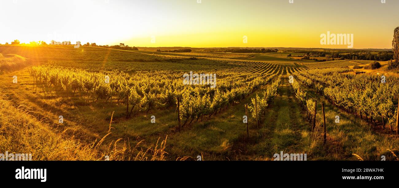 Sunset landscape bordeaux wineyard france hi-res stock photography and ...