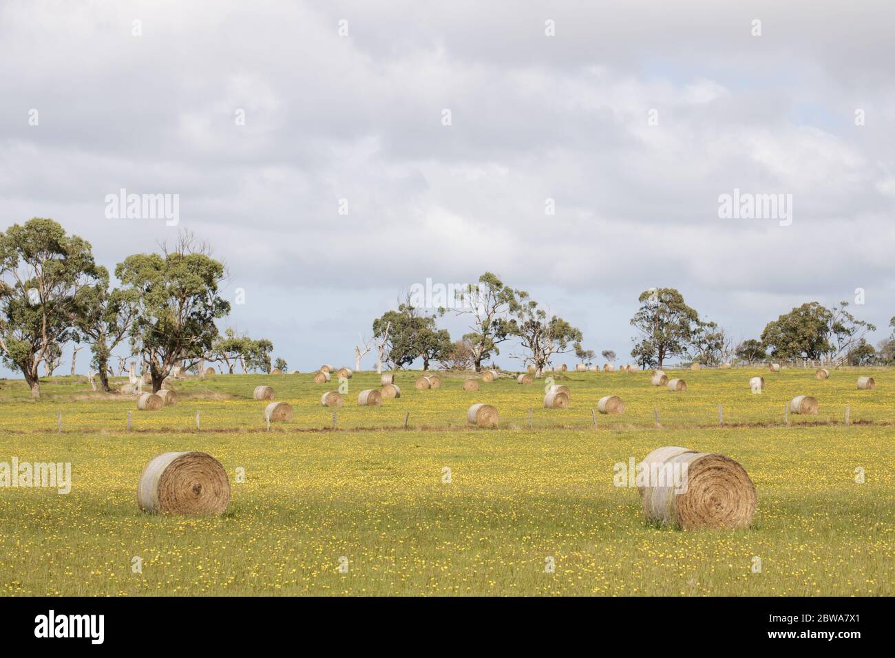 Stock hay hi-res stock photography and images - Alamy