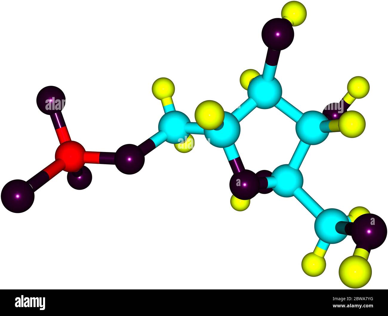 Fructose 6-phosphate or Neuberg ester is a fructose sugar ...