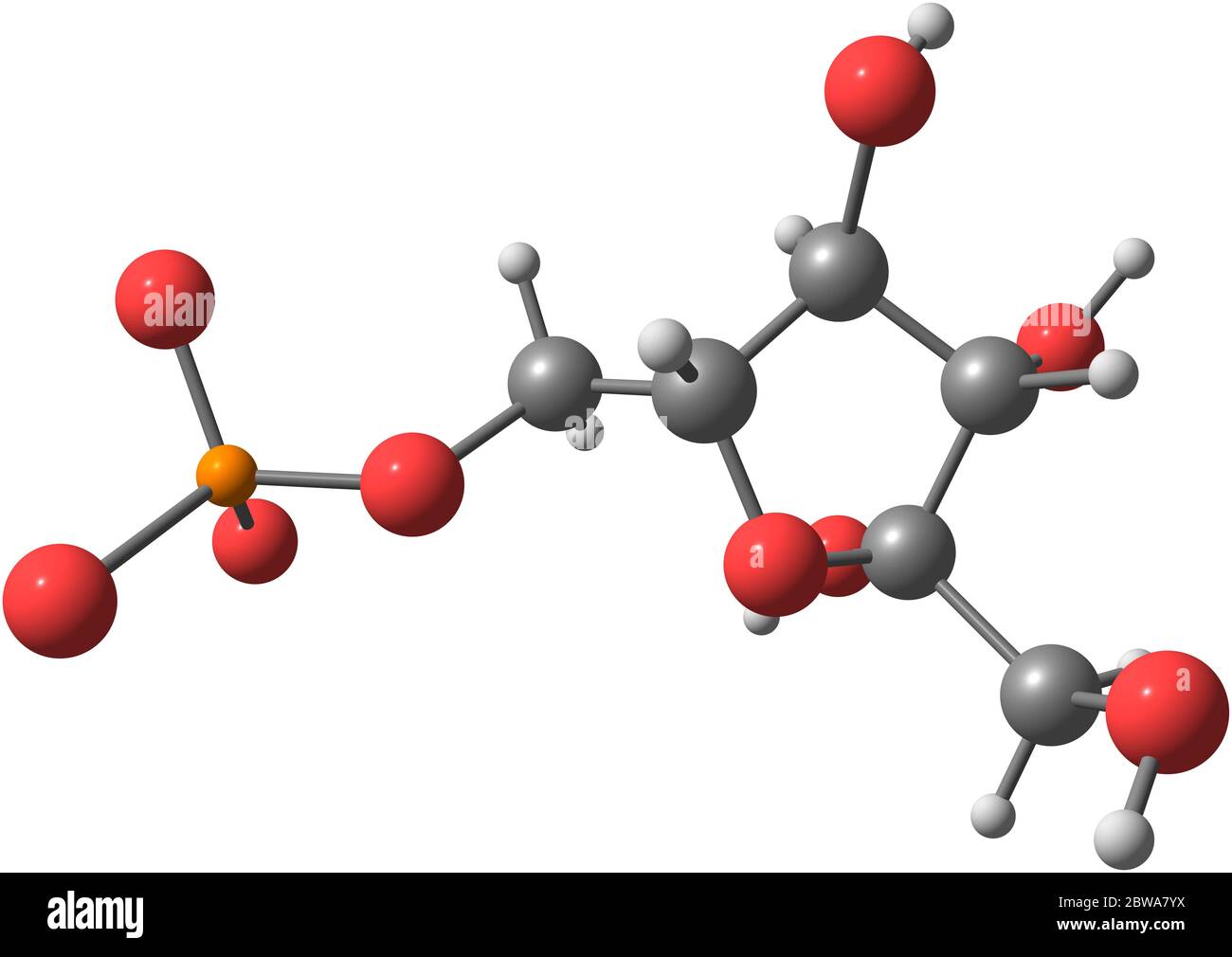 Fructose 6-phosphate or Neuberg ester is a fructose sugar ...