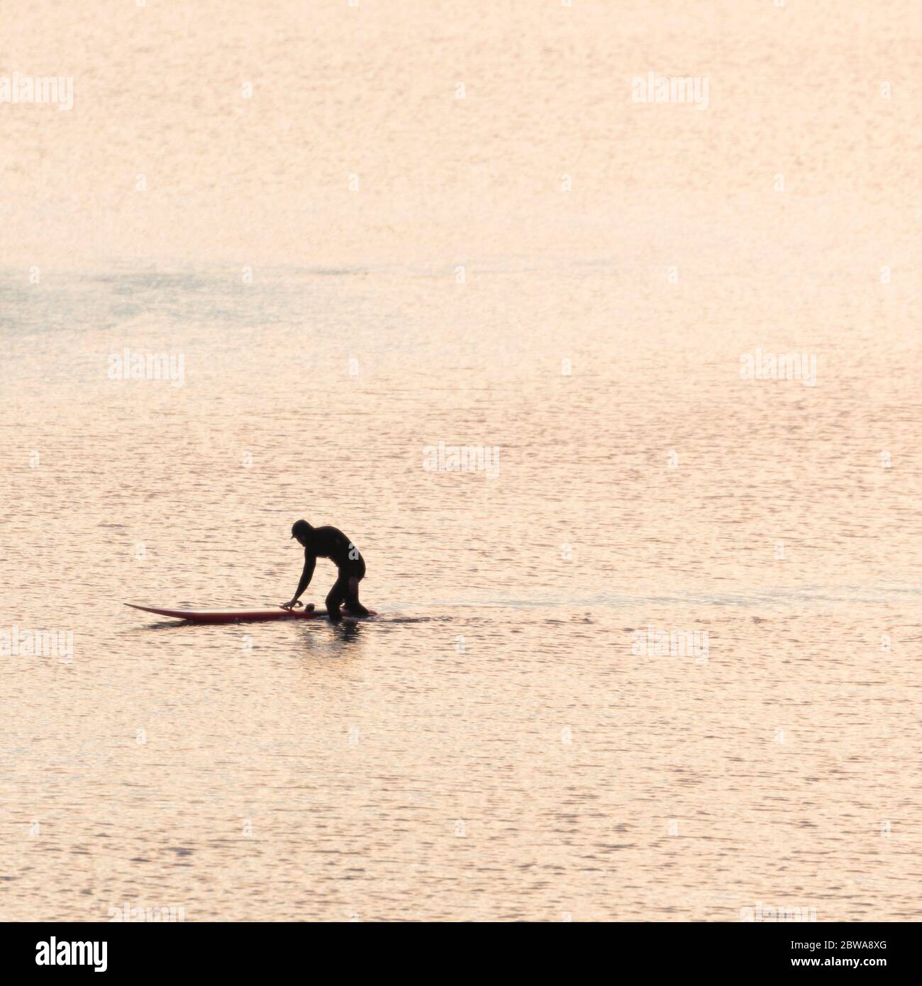 Surfer at sunset hi-res stock photography and images - Alamy