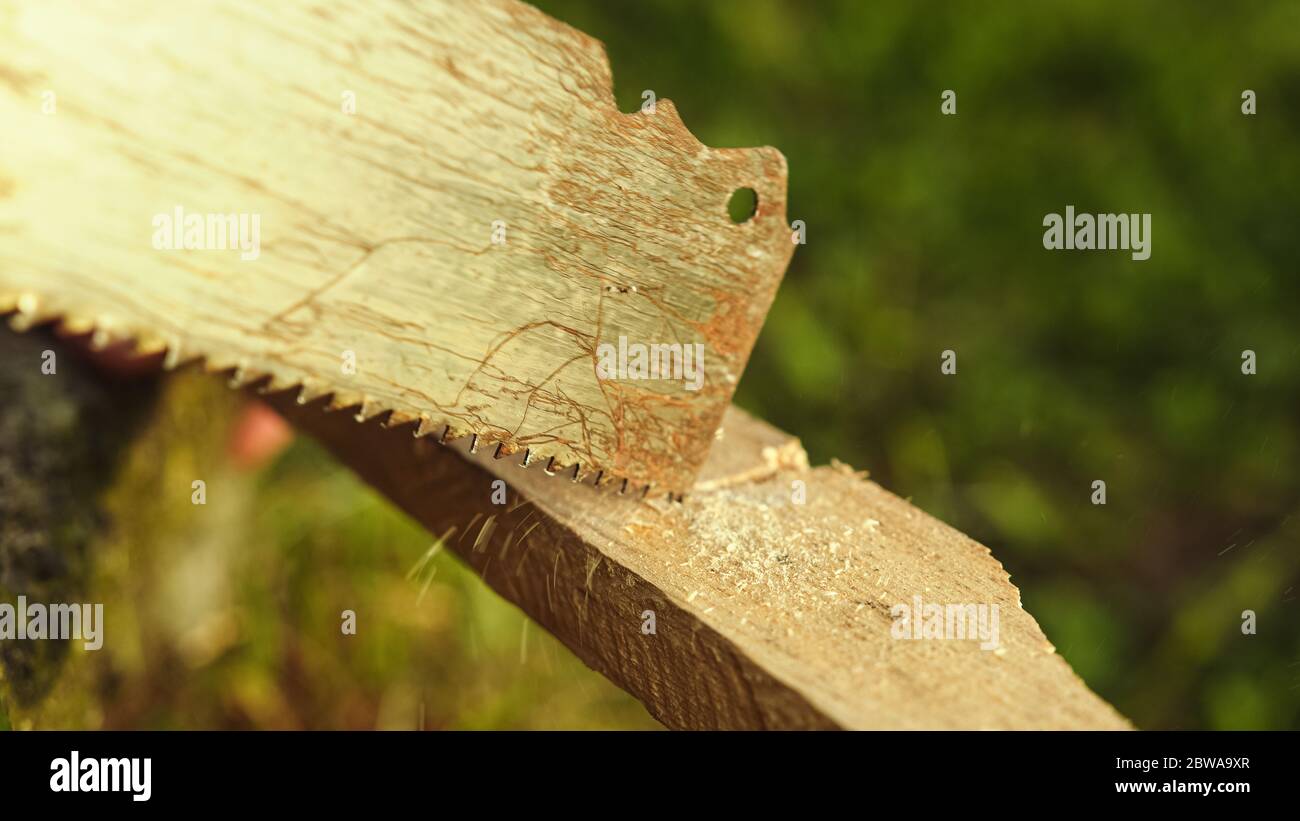 Men hand saw tree hi-res stock photography and images - Alamy