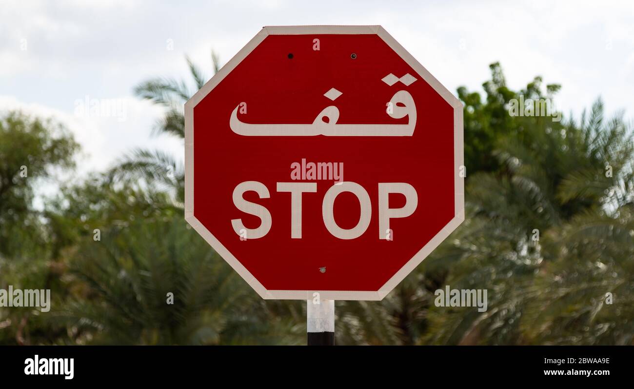 Bilingual arabic-english STOP sign in front of trees in town of Al ...