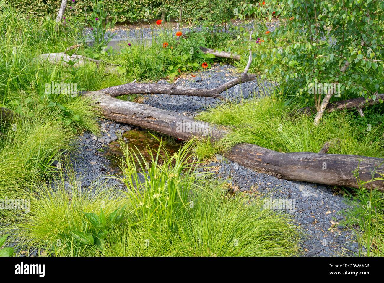 Garden design with natural looking small pond and fallen tree trunk ...
