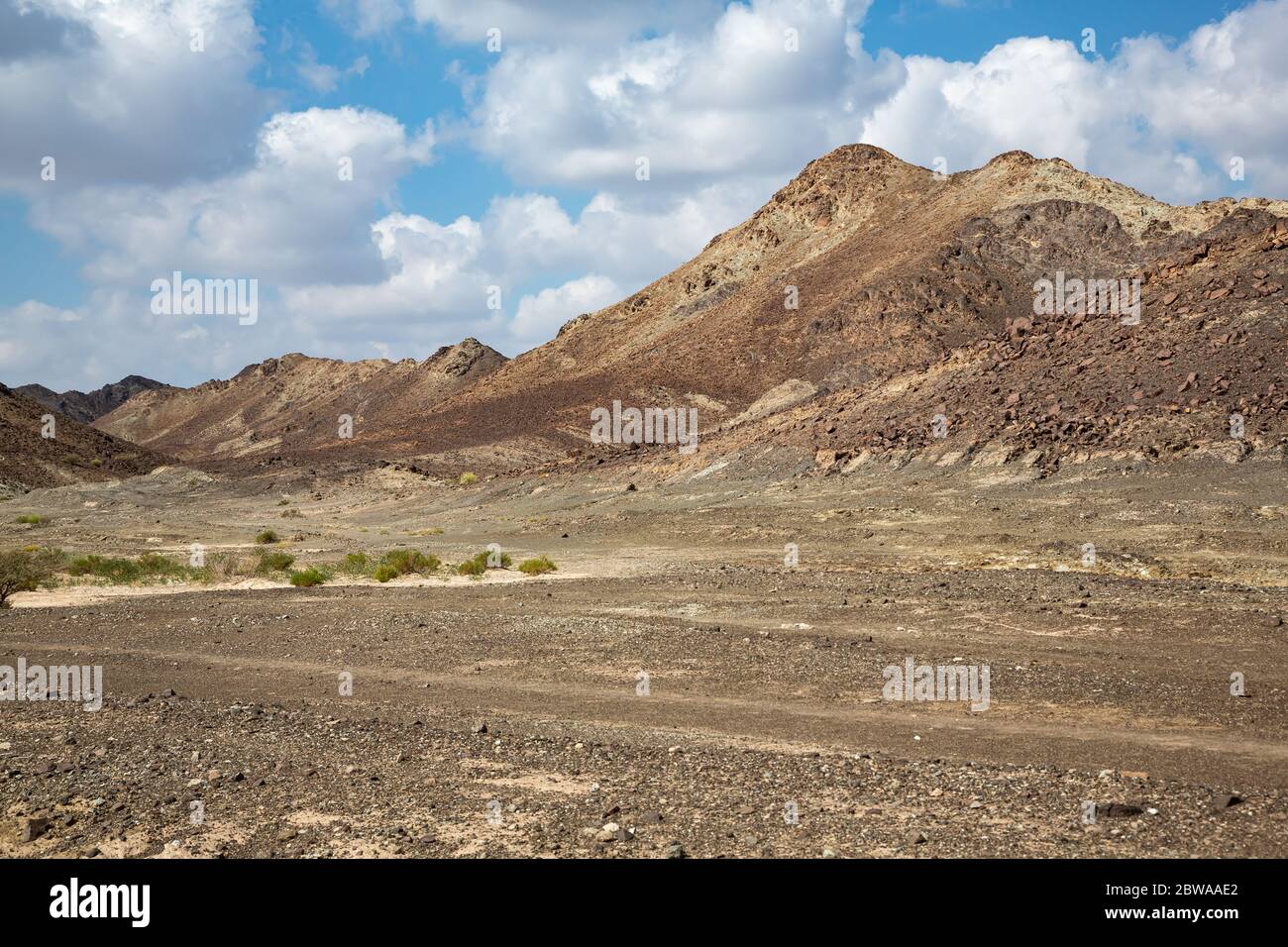Dry barren landscape with bushes in front of multi-colored hills under ...