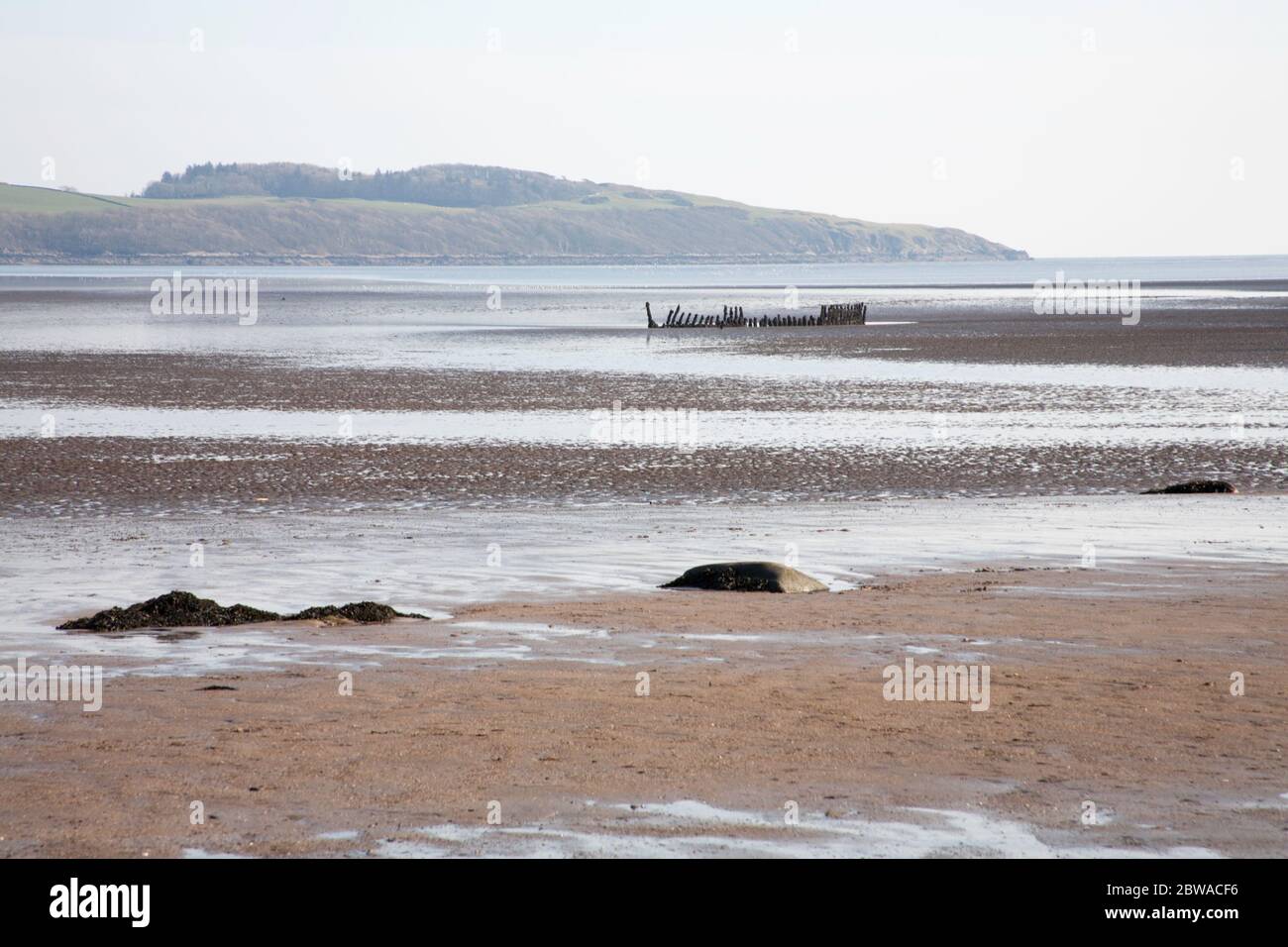 Decaying wreck of ship Kirkcudbright Bay Dumfries and Galloway Scotland ...