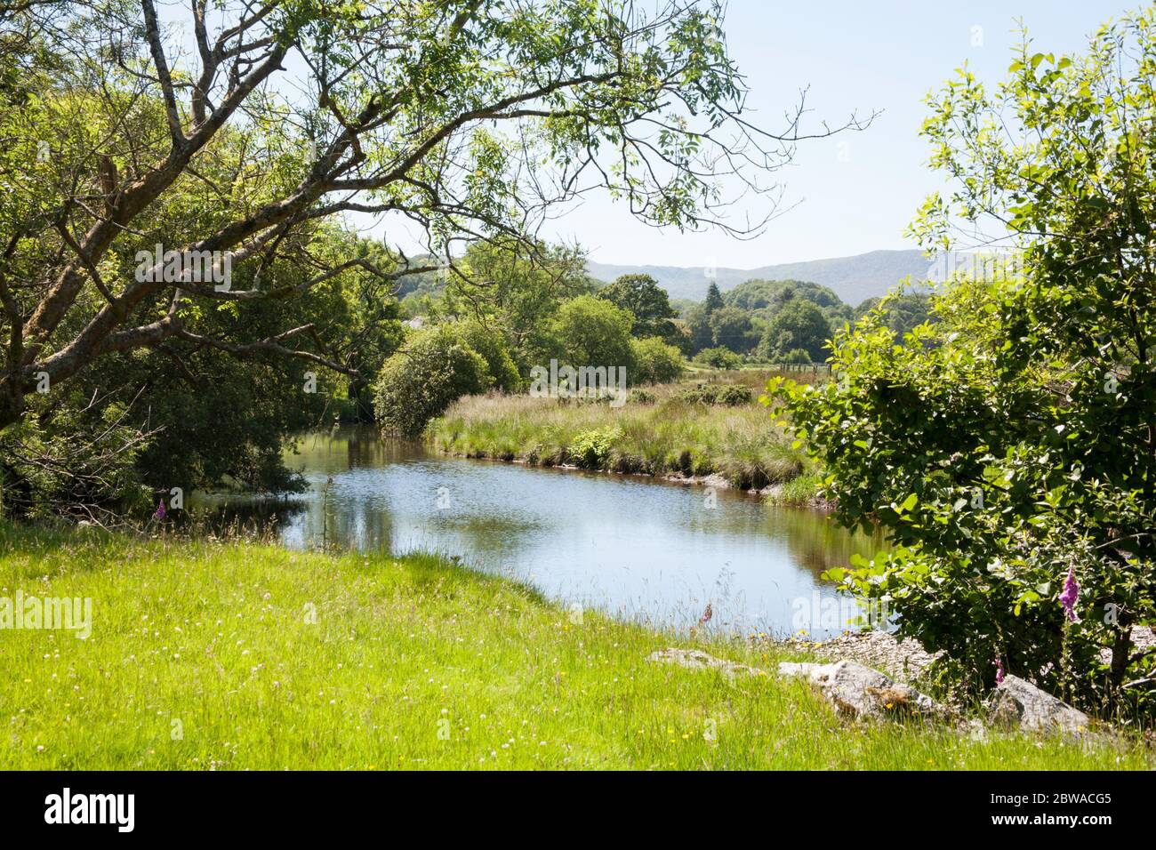 The Afon Lledr near the village of Dolwyddelan in the Lledr Valley ...