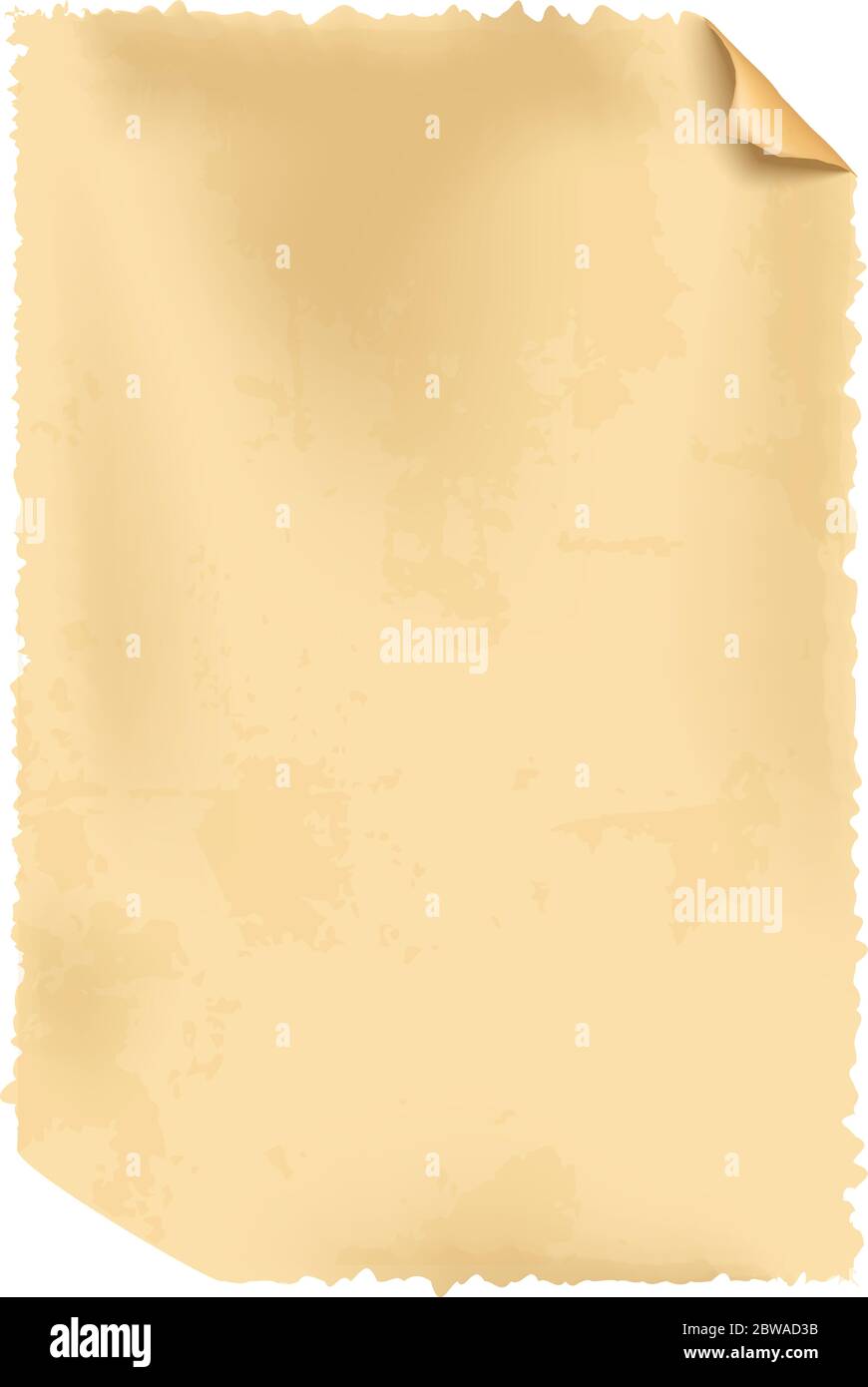 Realistic vector old paper. Isolated on white background Stock Vector ...