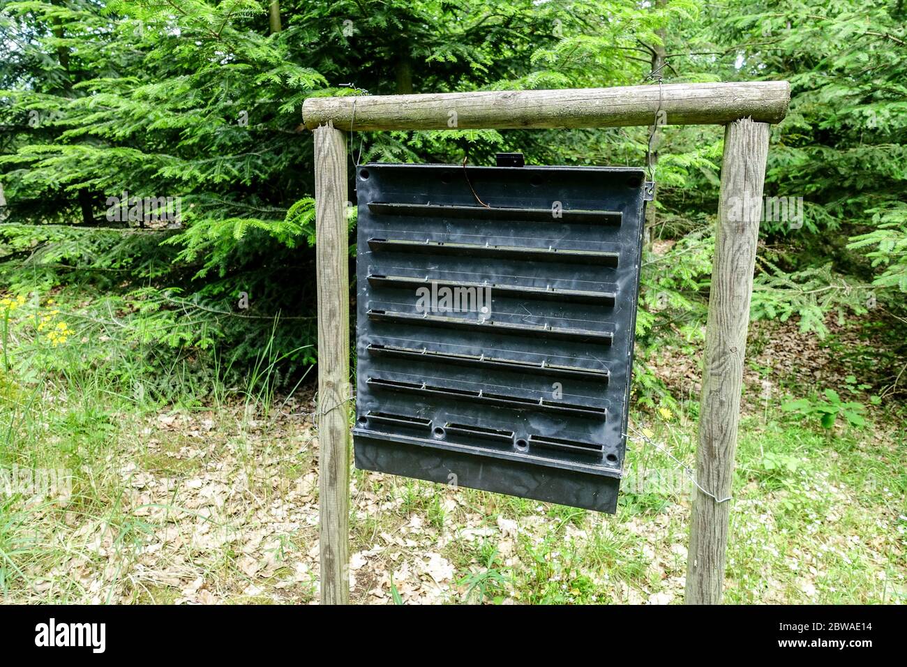 Bark beetle pheromone trap hi-res stock photography and images - Alamy