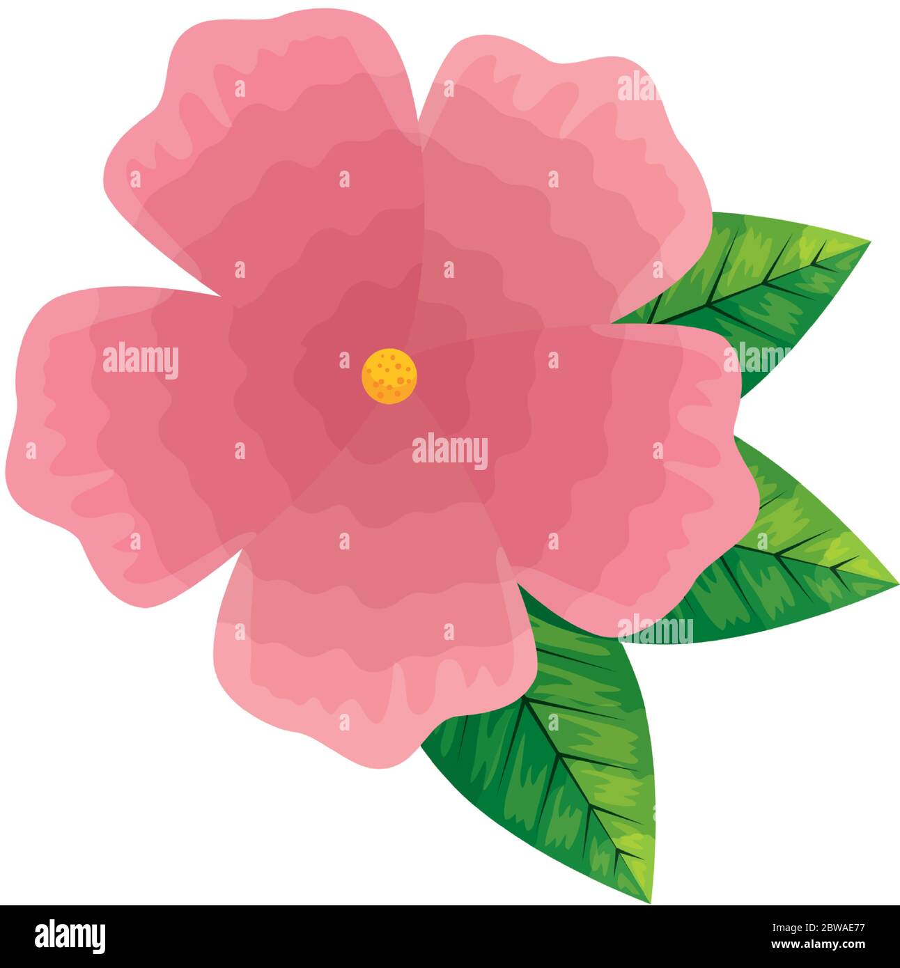 flower pink color, spring concept on white background Stock Vector ...