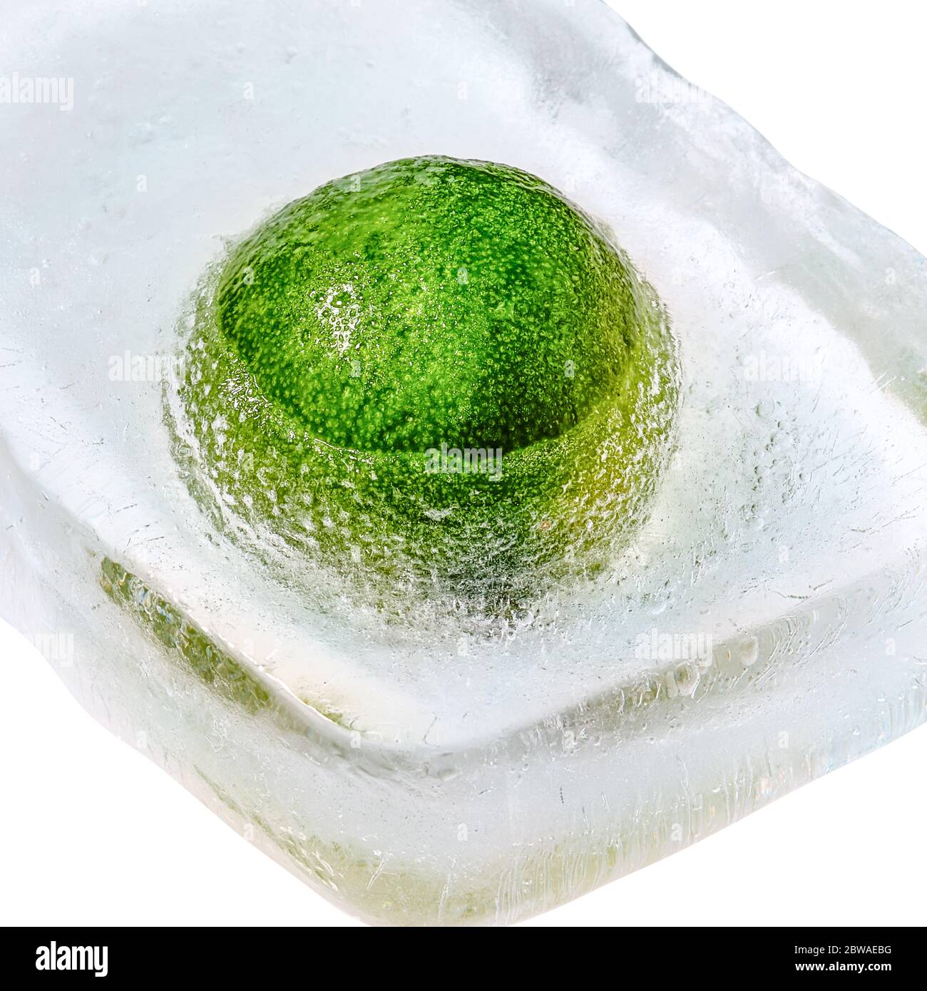 Fresh lime frozen in ice isolated on white background Stock Photo - Alamy