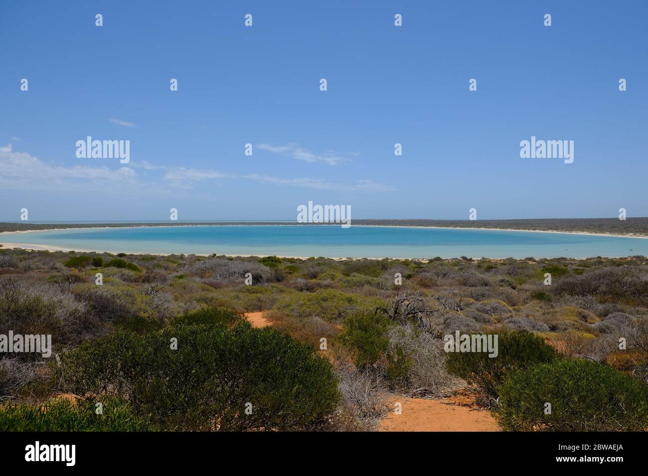 Western Australia Shark Bay - Denham Coffee Mia circular bay Stock ...