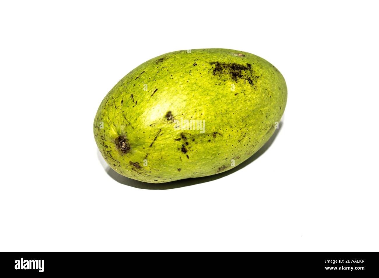 A picture of green mango Stock Photo - Alamy