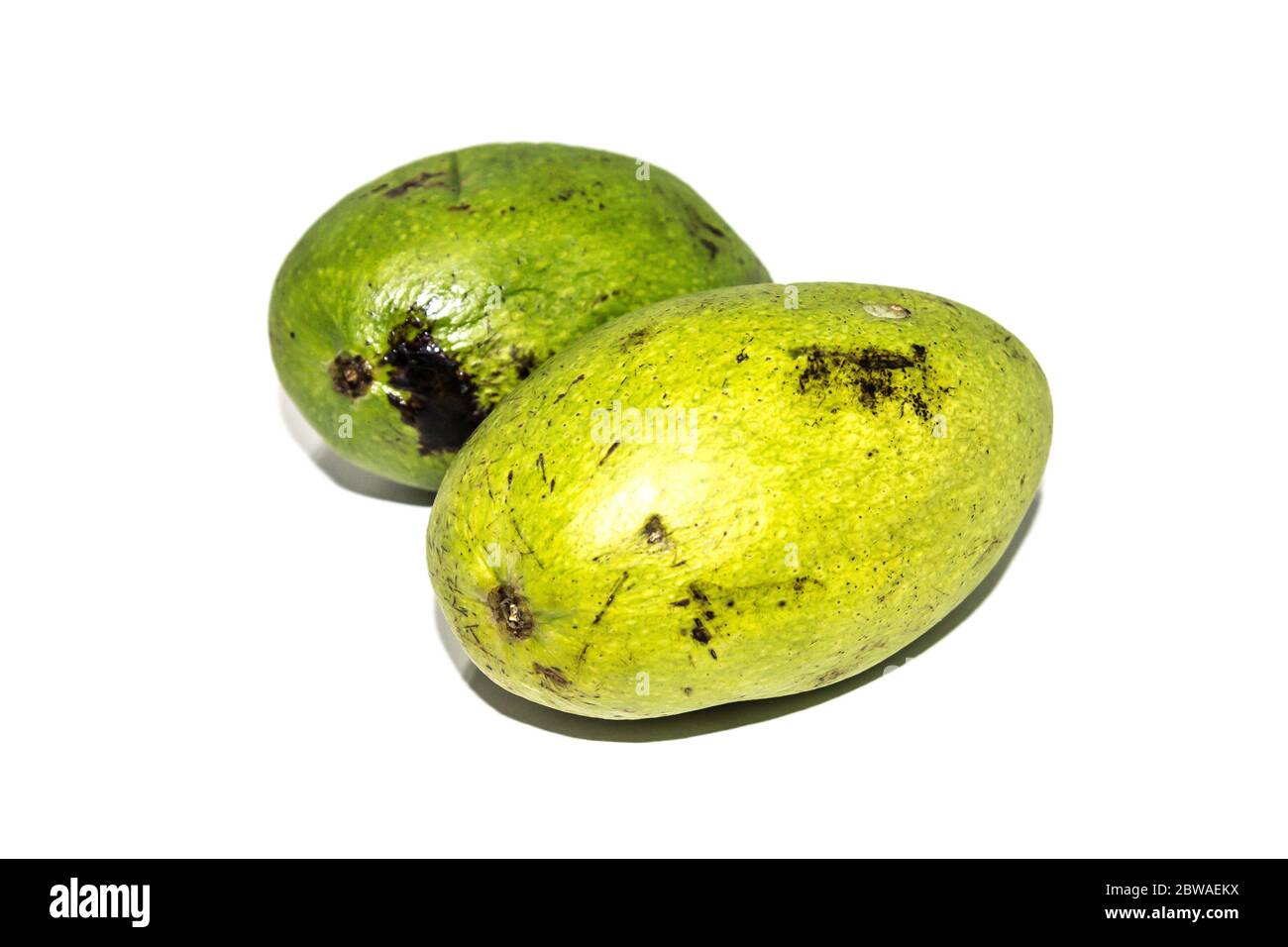 A picture of green mango Stock Photo - Alamy