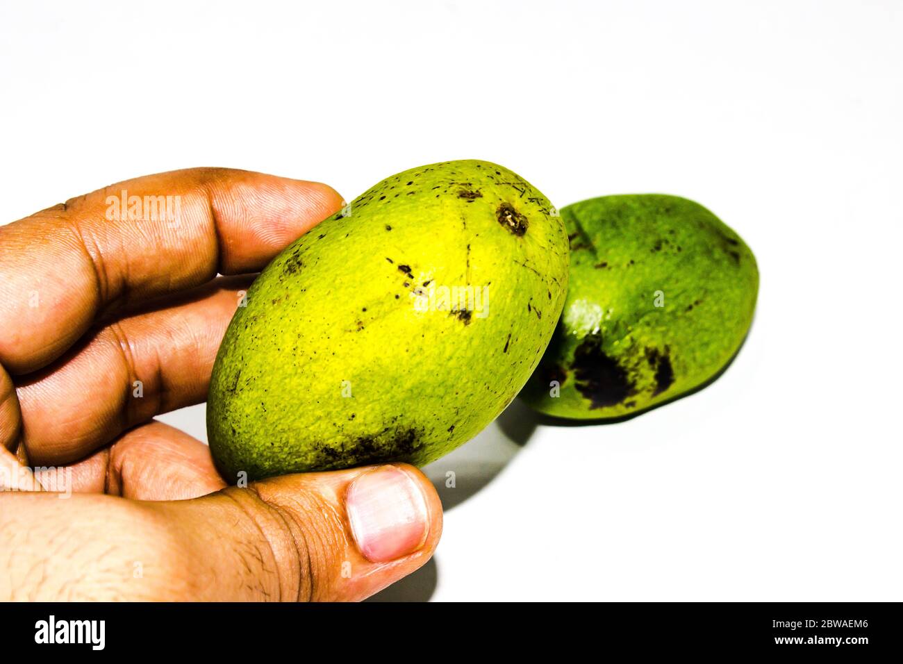 A picture of green mango Stock Photo - Alamy