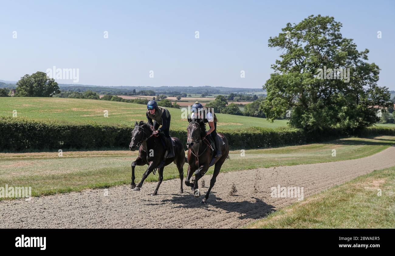 Ed de giles stables on gallops hi-res stock photography and images - Alamy