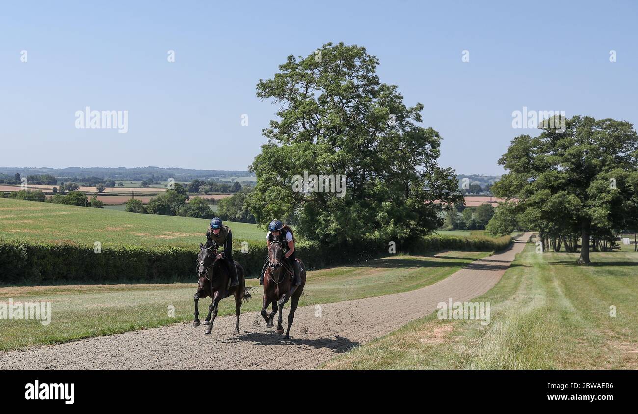 Ed de giles stables on gallops hi-res stock photography and images - Alamy