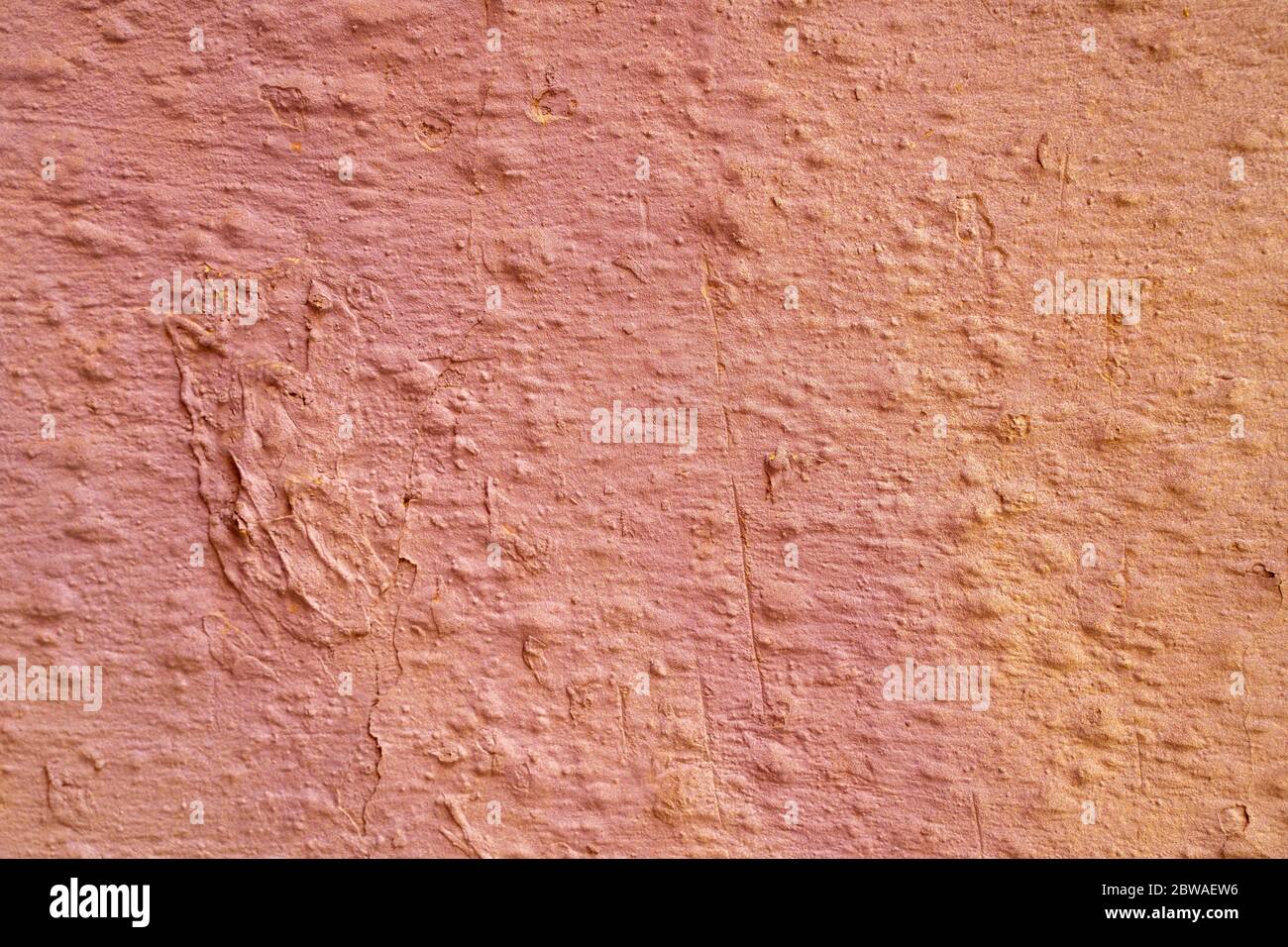 Salmon color gradient paint on a stucco scratched wall. Close-up of a ...