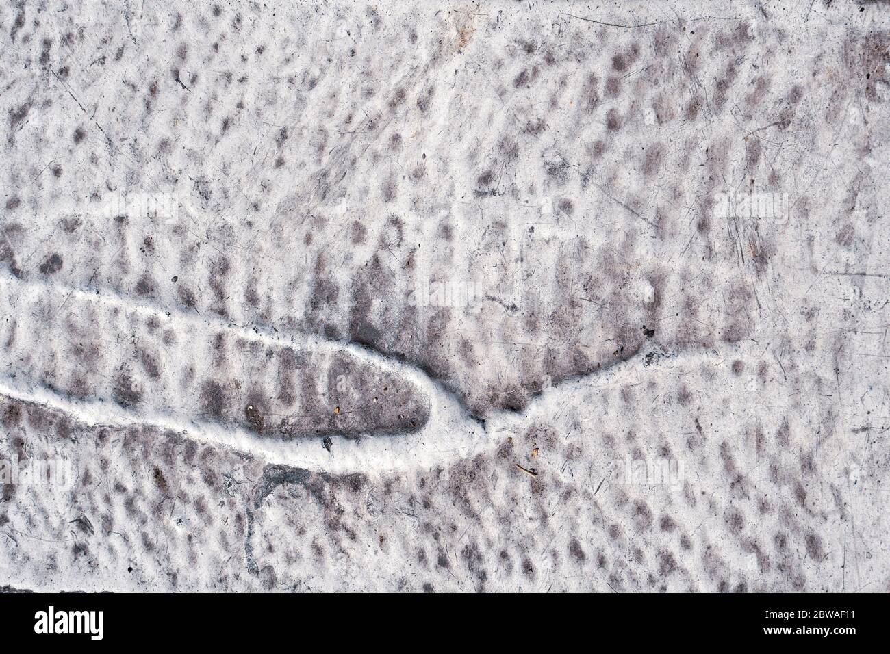 Asphalt road texture hi-res stock photography and images - Alamy