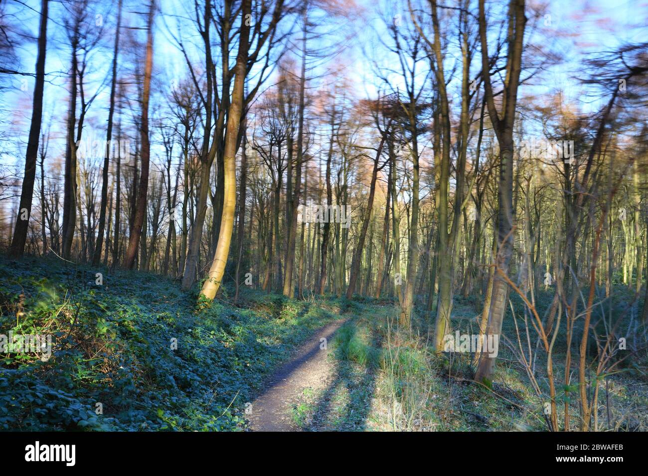 Motion winter scenery hi-res stock photography and images - Alamy