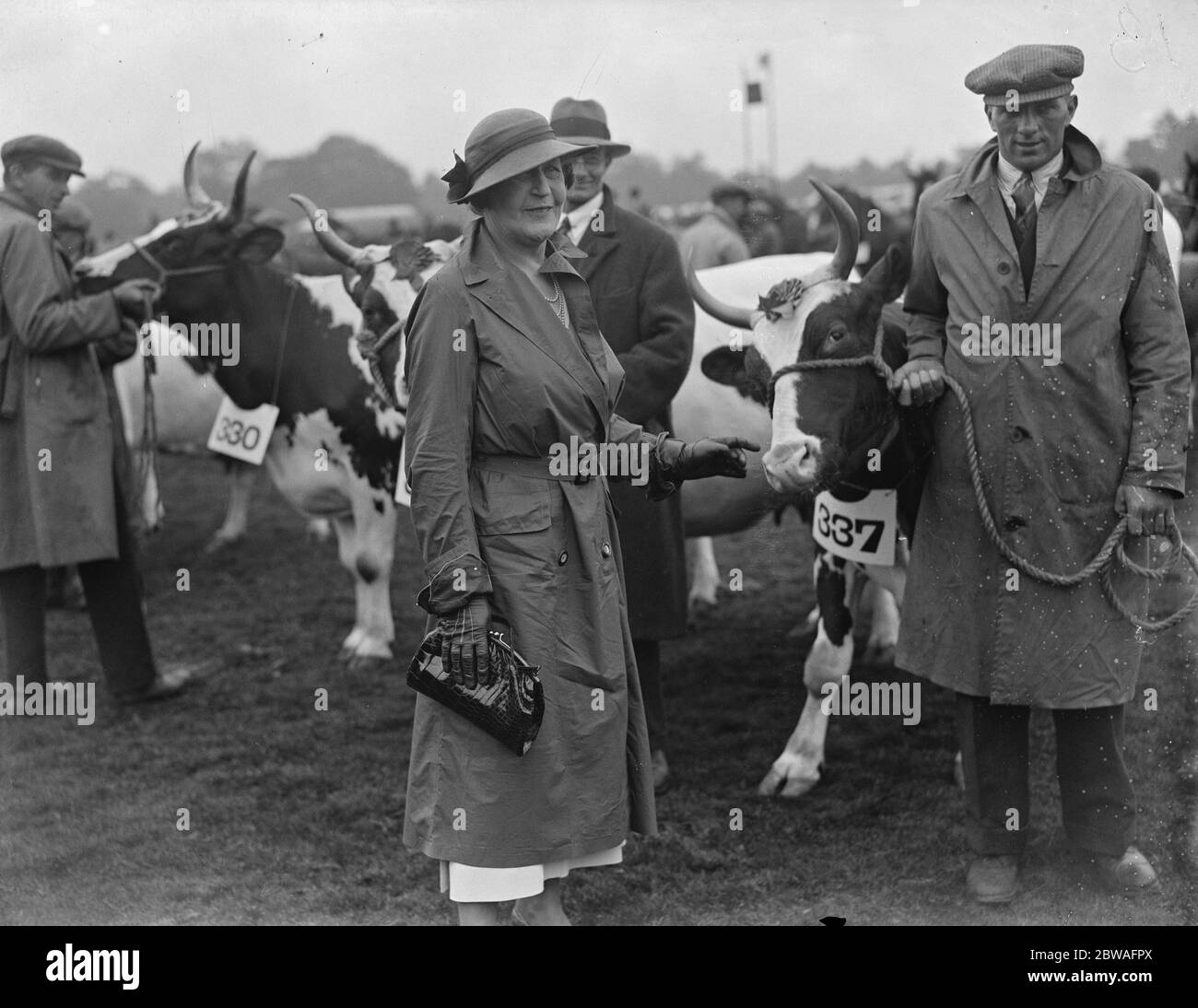 Herts show Black and White Stock Photos & Images - Alamy