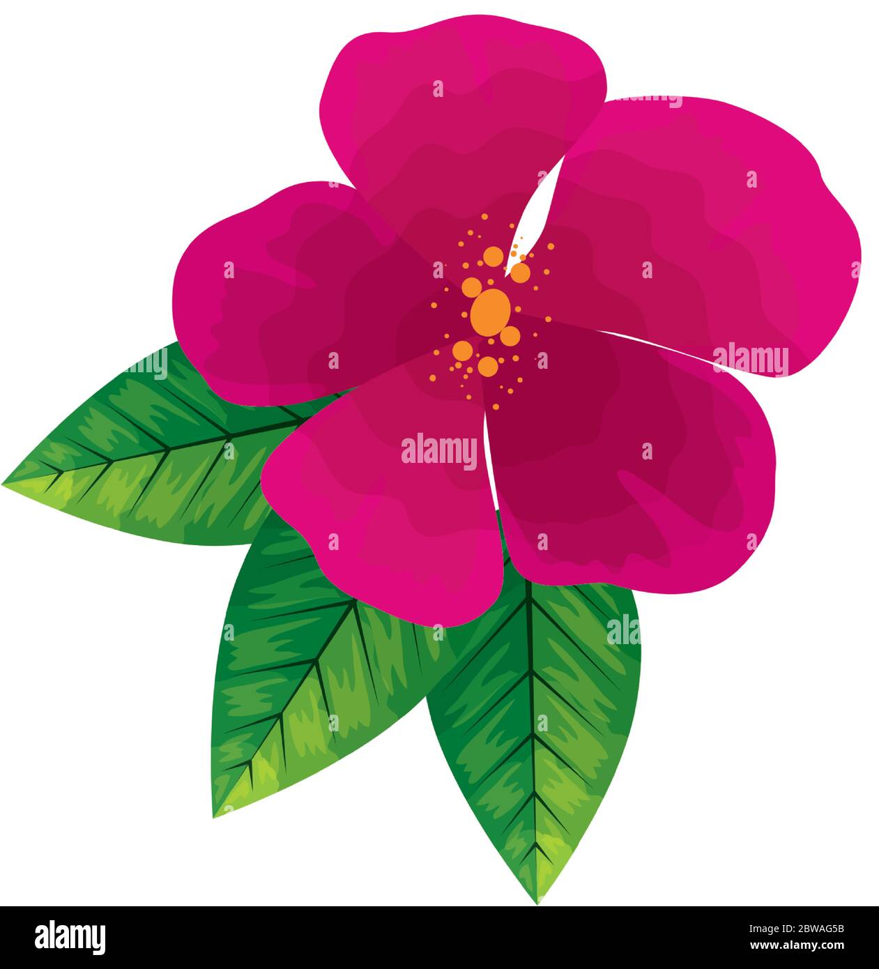 flower pink color, spring concept on white background Stock Vector ...