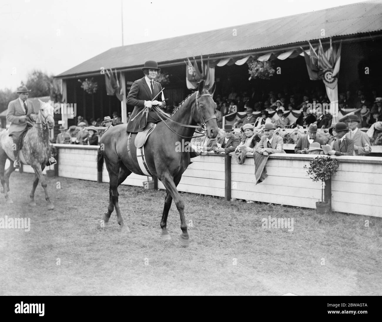 Famous Hunter Horses