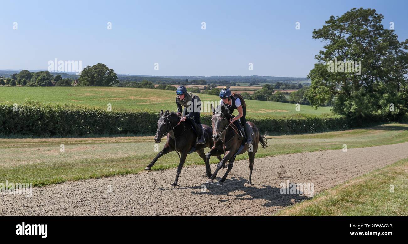Ed de giles stables on gallops hi-res stock photography and images - Alamy